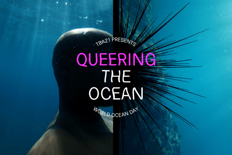 A collaborative platform for Ocean Imagination and Ocean Action | Ocean ...